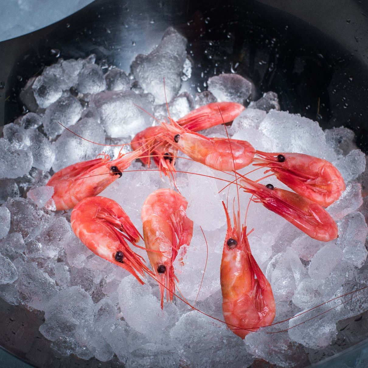 Welcome to Ocean Seafood A/S